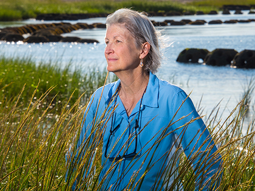 Coastal & Marine Science - BS | Sacred Heart University